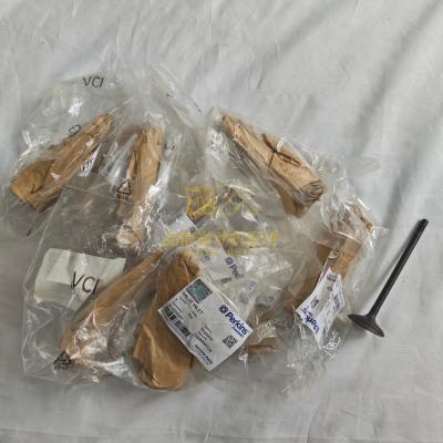 China For 3142H091 VALVE INLET Perkins C7.1 C6.6 C4.4 1104 1106 Diesel Engine Parts for sale