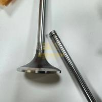 China 1842912C1 1842913C1 Intake Exhaust Valve For Perkins 1306 DT466E Valve Guide Valve Seal for sale