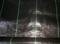 China Anti UV Heavy Duty Ground Cover Fabric BV Woven Weed Control Fabric for sale