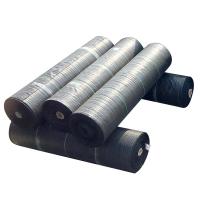 China Black Polypropylene Woven Fabric Agricultural Polypropylene Ground Cover Fabric for sale