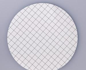 China Gamma Microporous Membrane Filter 0.45um PES Nylon 47mm Polypropylene PTFE for sale