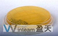 China Plastic 9cm Sterile Petri Dishes Customized Design For Machine Use for sale