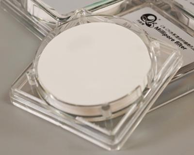 China 0.45μM Mce Gridded Membrane Filter For Test Laboratory Used Gamma Sterility for sale