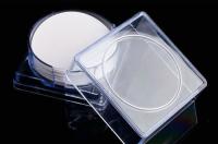 China Water Nylon Membrane Filter Millipore Filtration Apparatus 100pc / Box Gamma Sterility for sale