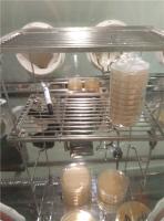 China Microbial Limit Test Usp Sterility Testing Of Pharmaceuticals 15 - 240rpm for sale