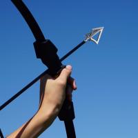 China 3 Blade 100grain Archery Hunting Broadheads Fishing Crossbolt for sale
