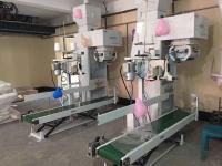 China Automatic Flour Packing Machine 40-50kg 380V DCS Series for Bags and Sacks for sale