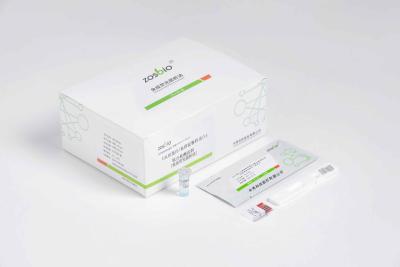 China 5-200mg/L Serum Amyloid A CRP Rapid Test Kit 3 Minutes Infantile Infection for sale