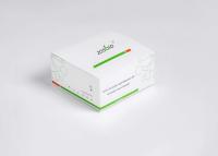 China CE Plasma Serum Ag Rapid Test Kit Ncov Ag Qualitative Detection for sale