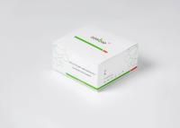 China 2019-NCoV IgM IgG Rapid Test Serum Plasma Neutralizing Antibody Kit for sale