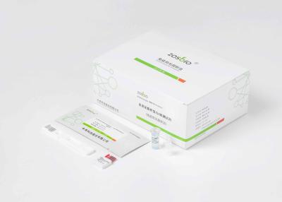 China Serum Amyloid A CRP Rapid Test Kit 3 Minutes For Internal Medicine for sale