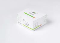 China 10 Minutes Ferritin Rapid Test Child Care Pediatrics Ferr Test Kit for sale