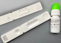China 2019-NCoV Neutralizing Antibody Rapid Test ( Immunochromatography ) Main Components for sale
