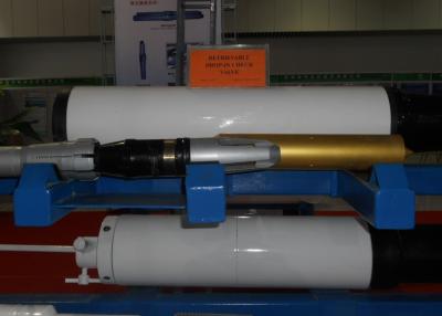 China API Inside Blowout Preventer Valve 35 ~ 70 MPa Retrievable Drop In Check Valve for sale