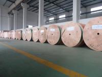 China TP304 / 316L Seamless / Welded Stainless Steel Control Line tubing for sale
