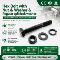 China M10 M12 M14 M16 Grade 12.9 Black Oxide Galvanized Hex Bolt Kit for Heavy Duty Steel Structure Construction for sale