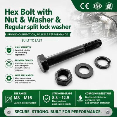 China M10 M12 M14 M16 Grade 12.9 Black Oxide Galvanized Hex Bolt Kit for Heavy Duty Steel Structure Construction for sale