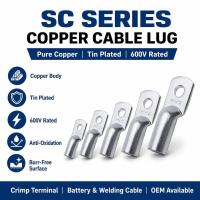 China Tinned Copper Cable Lug 600V Heavy Duty Ring Terminal Crimp Terminal for Battery Welding Cable Power Connection for sale