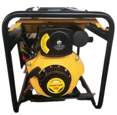China Portable Diesel Generator 2.2kW with 12.5L Fuel Tank and Recoil Starting for Reliable Power Supply for sale