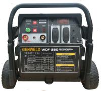 China Portable Gasoline Generators WDF-250 250A for sale