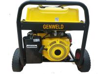 China Portable Gasoline Generators WDF-250 250A for sale