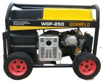 China Portable Gasoline Generators WDF-250 250A for sale