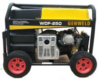China GENWELD  WDF-250A Engine Driven Welding Machine for sale