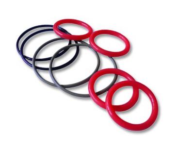 China Tear Strength 16-30 N/Mm Rubber O Rings For Oil Gas Field Sealing Avilable Size C/S for sale