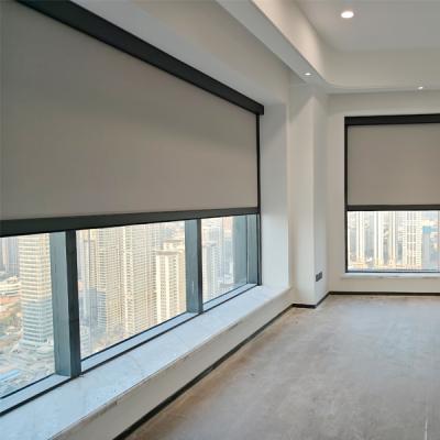 China 100 Series Zipper Roller Blind with Remote Control Operation for Simultaneous Control and Brand Motor Stability for sale