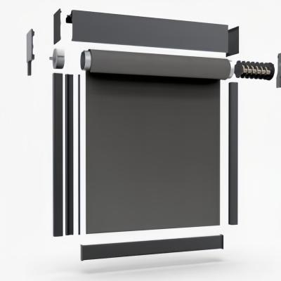China 55mm Pipe Diameter Flat Steel Spring,20000 Lifespan Roller Blind Spring,3-8KG Load Capacity Windproof Spring for sale