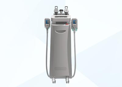 China Stationary Cryolipolysis Fat Freezing Slimming Beauty Equipment for Home Use for sale
