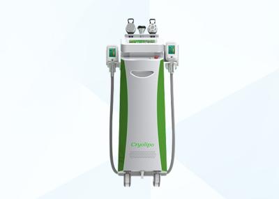 China Vacuum Fat Freezing Cryolipolysis Slimming Machine For Cryo Weight Lose Shaping Body for sale