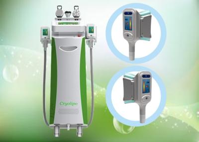 China RF Cavitation Cryolipolysis Fat Freezer Slimming Machine , Weight Loss equipment for sale