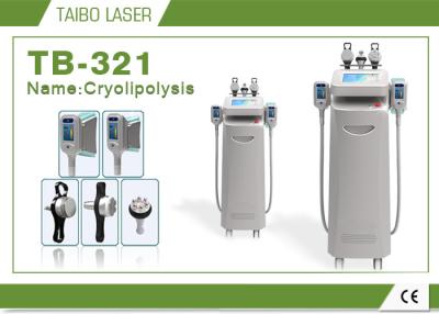 China Cryolipolysis Weight Loss Freeze Fat Machine / Coolshaping RF Cavitation Equipment for sale