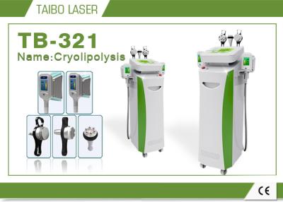 China 5 or 2 Heads 10.4 Screen Cryolipolysis Slimming Machine for Body Fat Removal for sale
