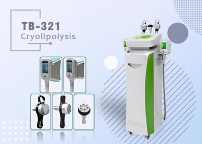 China 2 Heads Cryolipolysis Fat Freeze Slimming Machine For Fat Reduction / Body Contouring for sale