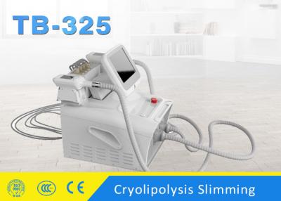 China 10.4 Inch Portable Cryoliposis Slimming Machine With 2 Heads for Lose Weight for sale