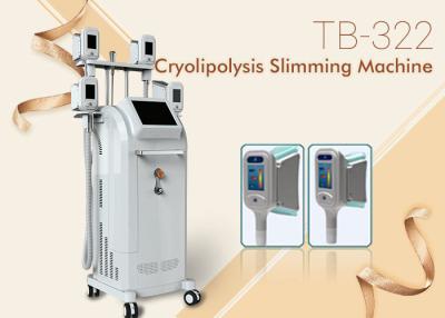 China 4 Cryo Handles Cryolipolysis Slimming Machine Cool Tech Shape Fat Freezing Machine / Kryolipolysie for sale