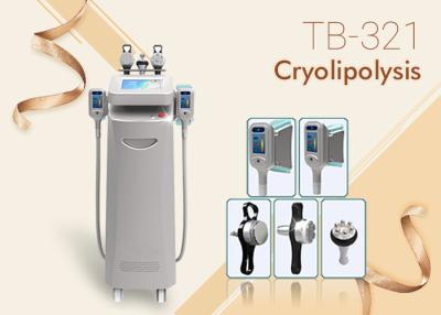 China 5 Handles RF Ultrasound Cavitations Fat Freezing Cool Sculpting Cryolipolysis Machine for sale