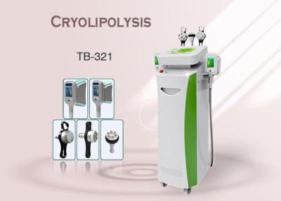 China Cool Sculption Cryolipolysis Body Shaping Ultrasonic Slimming Machine 1800W for sale