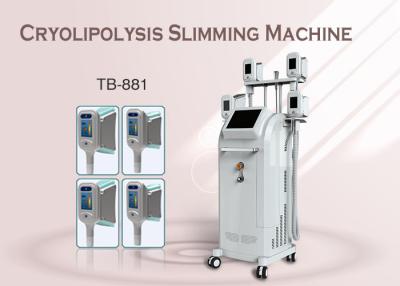 China Kryolipolysie Fat Fesszing / Cryolipolysis Slimming Machine Cool Tech Shape Machine for sale
