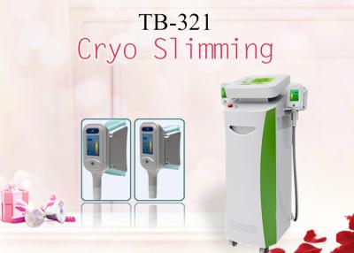 China 5 Handle Cryolipolysis Machine Skin Tighten Face and Body Slimming Machine for sale