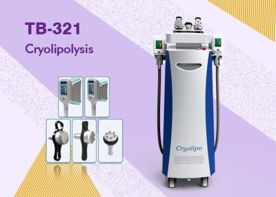 China Cooling Systerm 5 Heads Cryolipolysis Slimming Machine RF Fractional For Fat Reducing Skin Lifting for sale