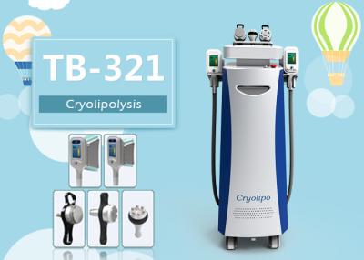 China 1800W 5 Treatment Head 10.4 Inch Fat Freeze Slimming Machine / Wrinkle Removal Machine for sale