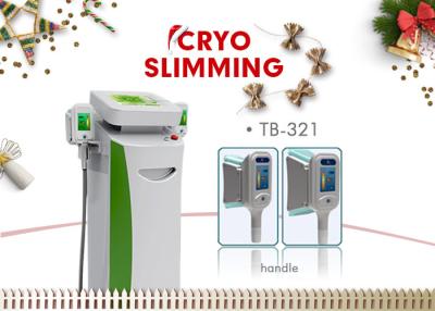 China Cryolipolysis Fat Freeze Slimming Machine With 5 Heads / 10.4 Inch Touch Screen 1800W for sale