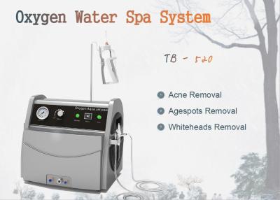 China Water Oxygen Skin Rejuvenation Electric Oxygen Skin Care and Rejuvenation for sale