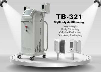 China Vertical 1800W  Vacuum Cryotherapy Fat Freezing /  Weight Loss Cryolipolysis Machine for sale