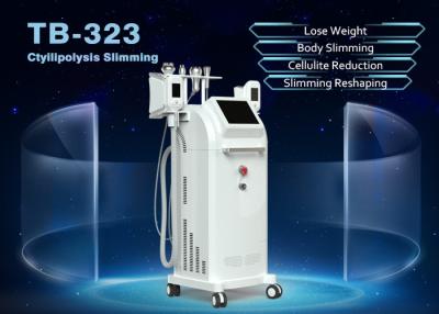 China 1800W Cryolipolysis Weight Loss Freezing Fat RF Slimming Machine Beauty Equipment for sale