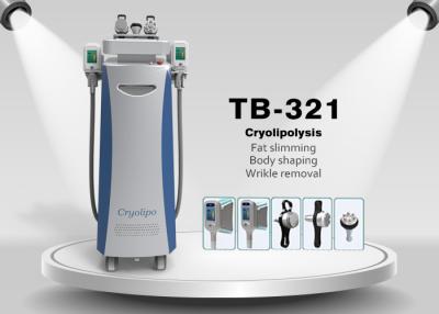 China Painfree Weight Reduction Cyrolipolysis Slimming Machine / Cryo Fat Freeze Slimming Machine for sale