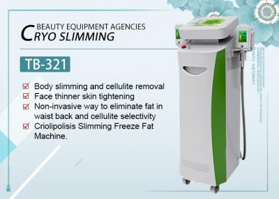 China 5 Handles Cryolipolysis Fat Freeze Slimming Machine For Skin Tightening / Face Lifting for sale